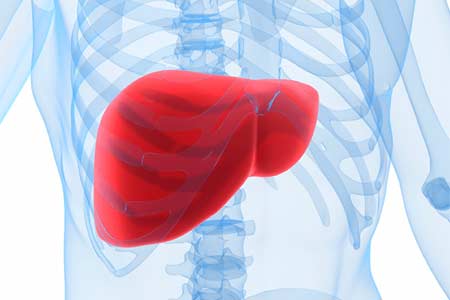 Zakaj je pomembno razstrupiti jetra? | VITAMIN.si